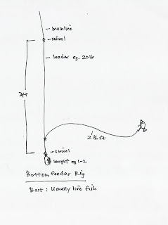 What the Fish!: TUTORIAL[12]: Basic fishing rigs