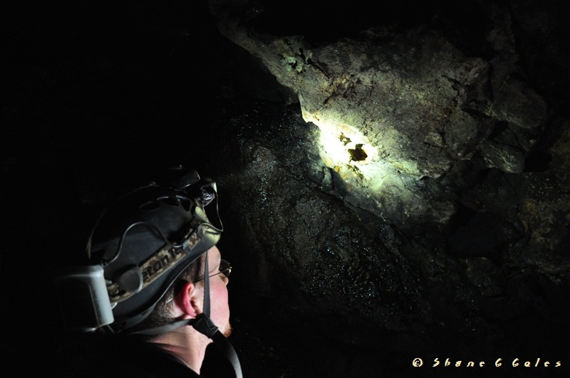 Utah Caves: Yellowstone Cave