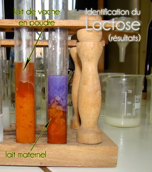 TPE : Le Lait: III La composition des deux laits