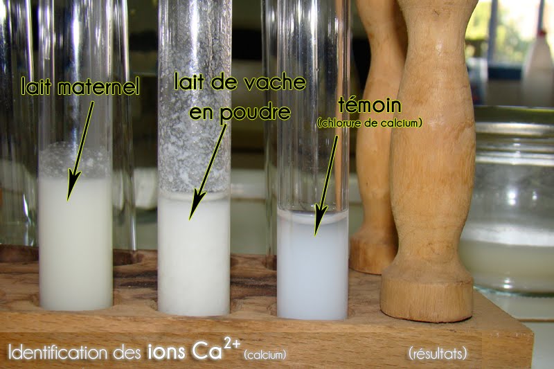 TPE : Le Lait: III La composition des deux laits