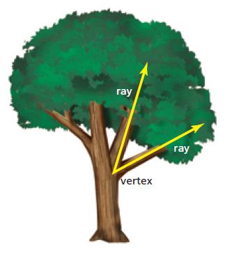 Math Agenda: Angles All Around Us