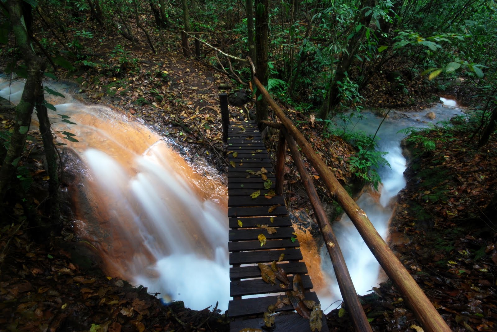 BLUE RIVER ESTATE - COSTA RICA