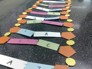 SJI International - Science Department News: Making a DNA model!