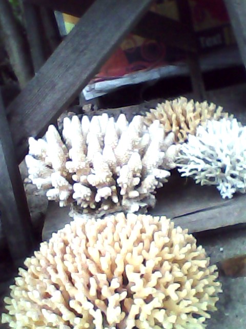 BandilyoEV: Sulangan Island, Guiuan Eastern Samar