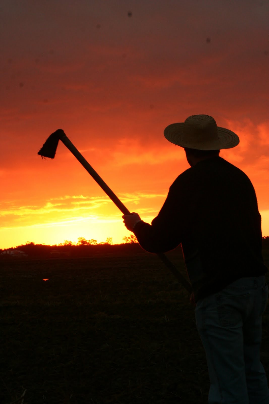 Gazeta Regional: Homenagem ao colono