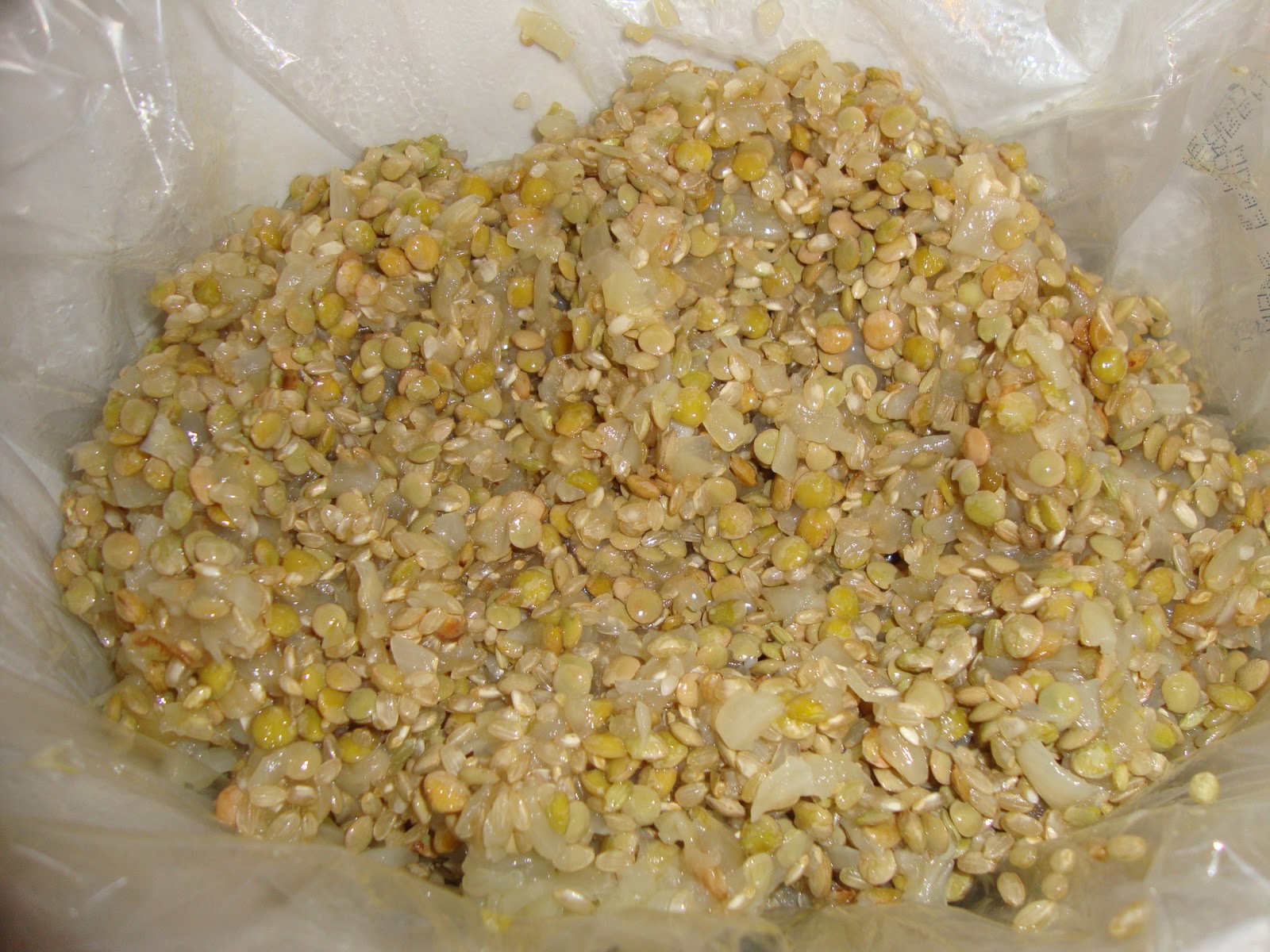 A Busy Mom's Slow Cooker Adventures: Mjadra (Lentils with Rice)