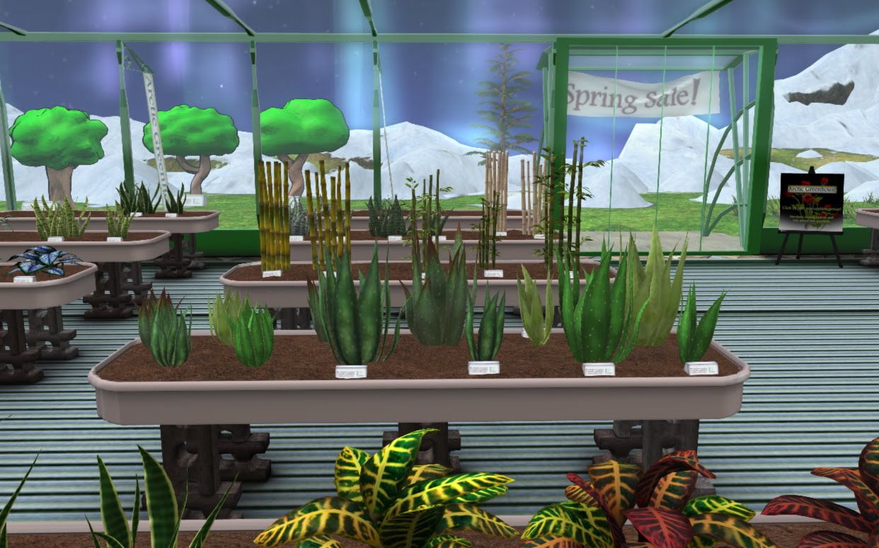 Arctic Greenhouse: Aloe and Snake Plants - New Models and Kits