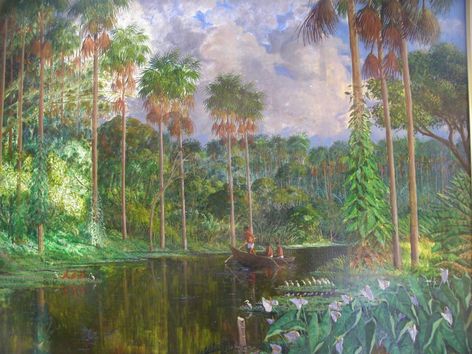 Elambiente.ron: Qué son los Morichales y por qué están en peligro de ...