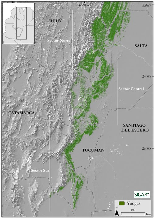 Mi Tucumán...Nuestro Tucumán: Yungas Tucumanas