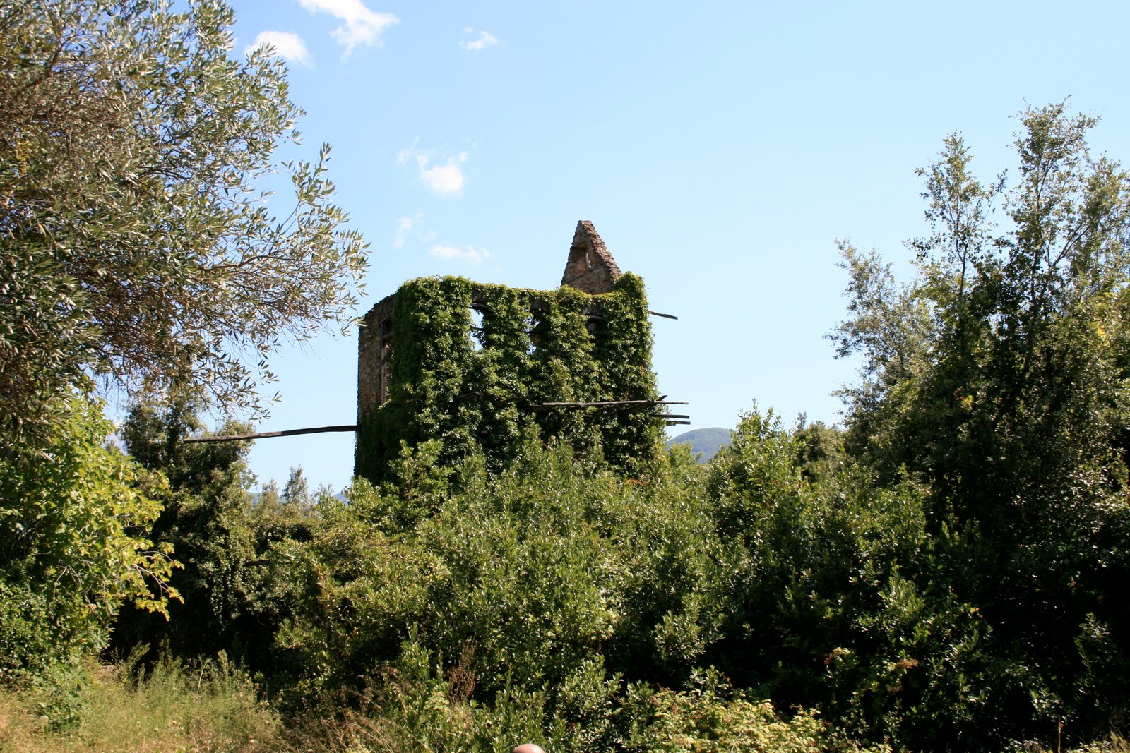 Agion Oros - Mount Athos: 0005 - Some of my favourite photos taken ...