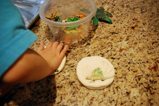 that artist woman: Fossil Casts - Dinosaur Art Project #1