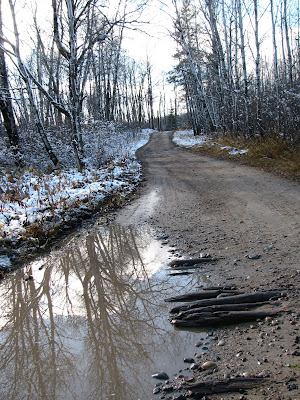 Far Side of Fifty: Corduroy Road