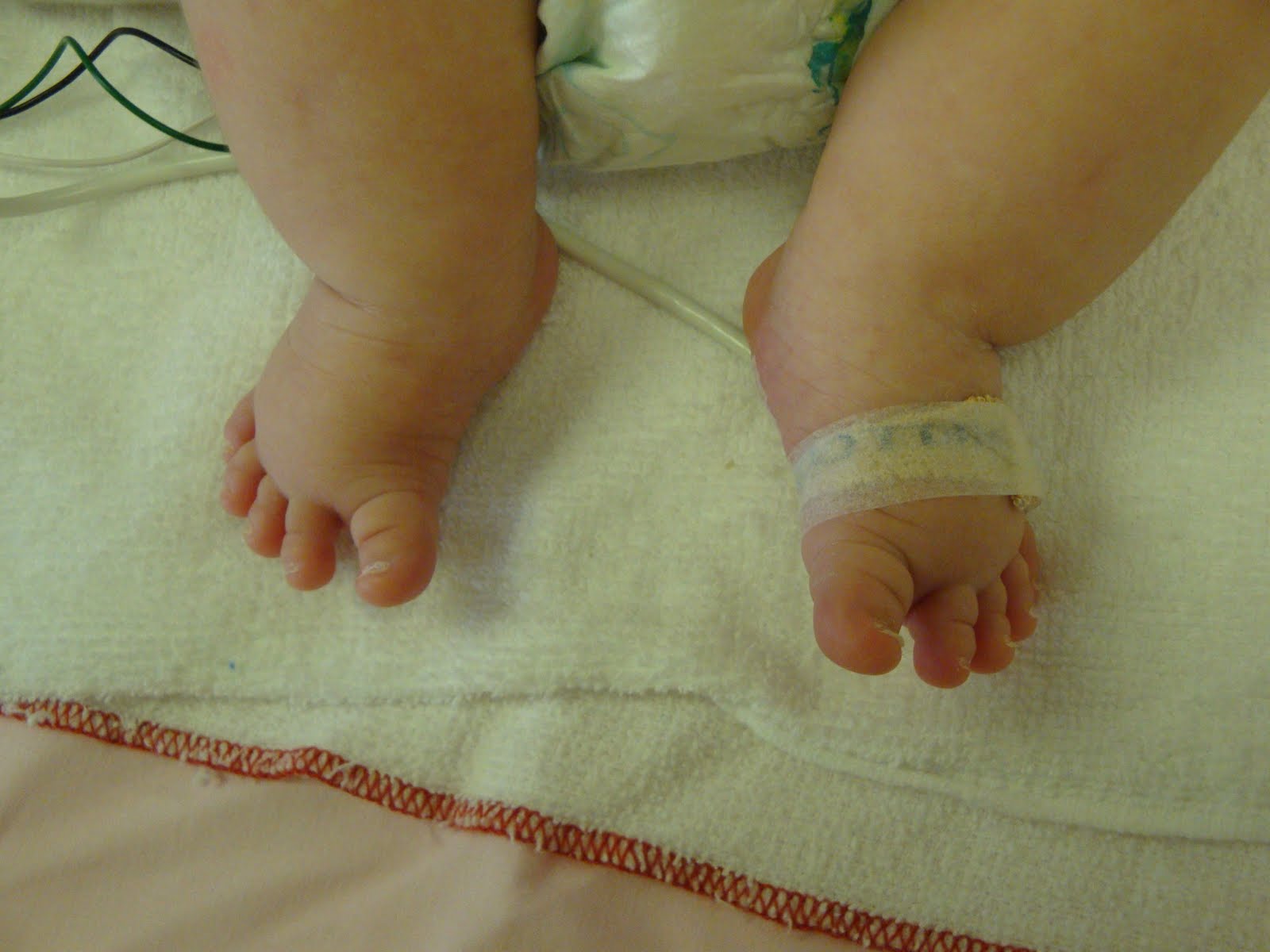 Faith, Hope and Joy: Hands and Feet