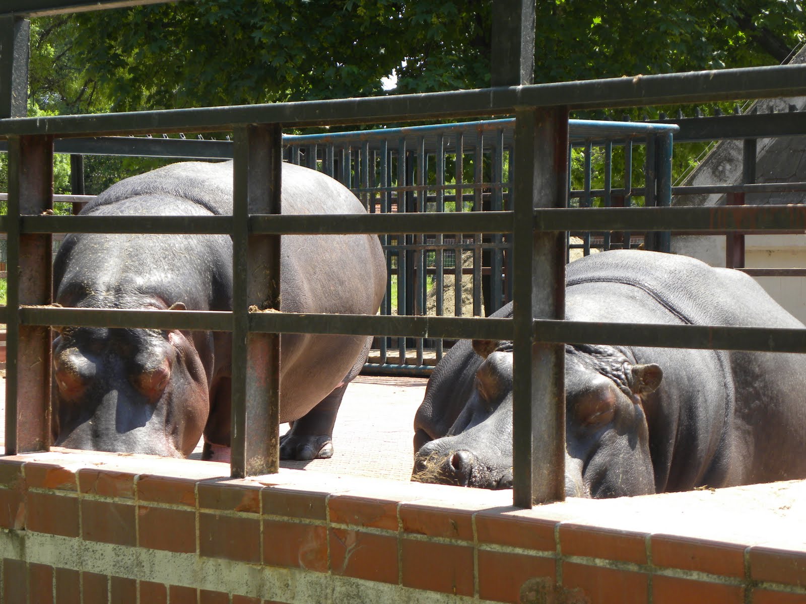 Quest Macedonia blog: Zoo Skopje