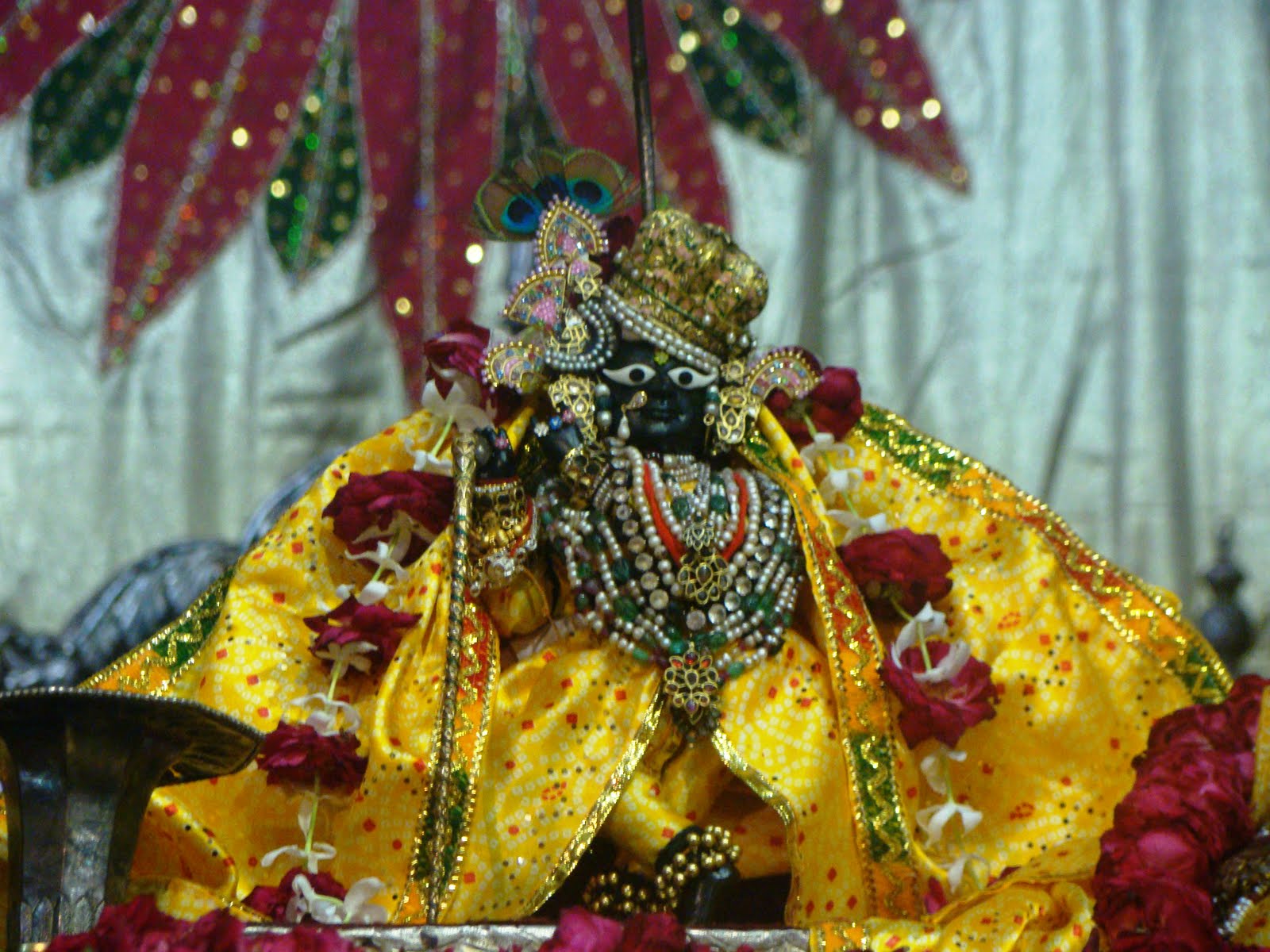 Radha Krishna Land: Jhulan yatra 2010 in Radha Raman Temple