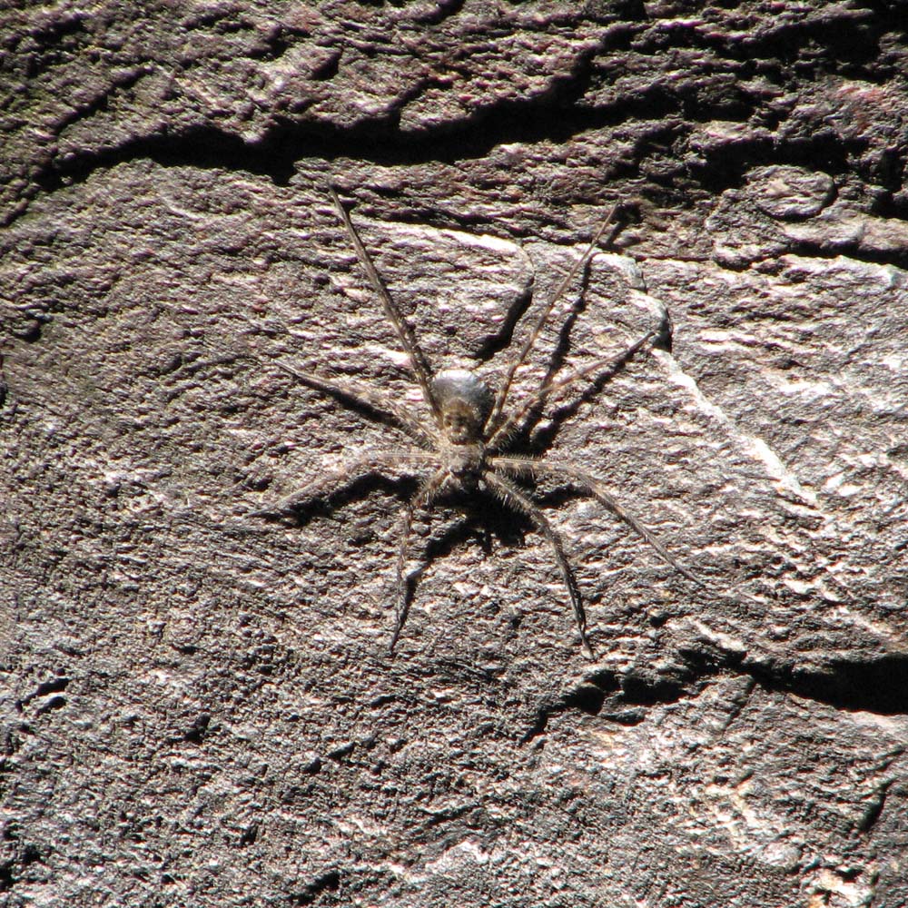 MykenLara-Guyana: Moco Moco Falls