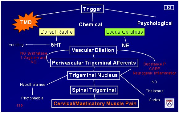 buka mata, buka hati, buka pikiran....: MIGREN (migraine)