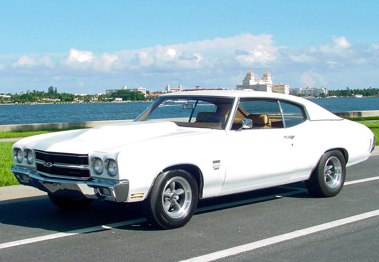 SS-454 BALDWIN-MOTION CHEVELLE: BLIND FIND!