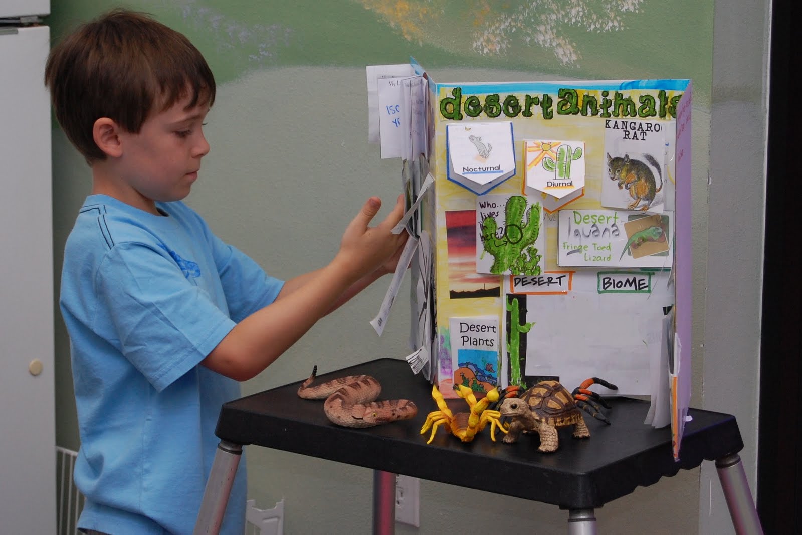 Sunrise Learning Lab: Big Bro's Cool Desert Project & Little Bro's Nice ...