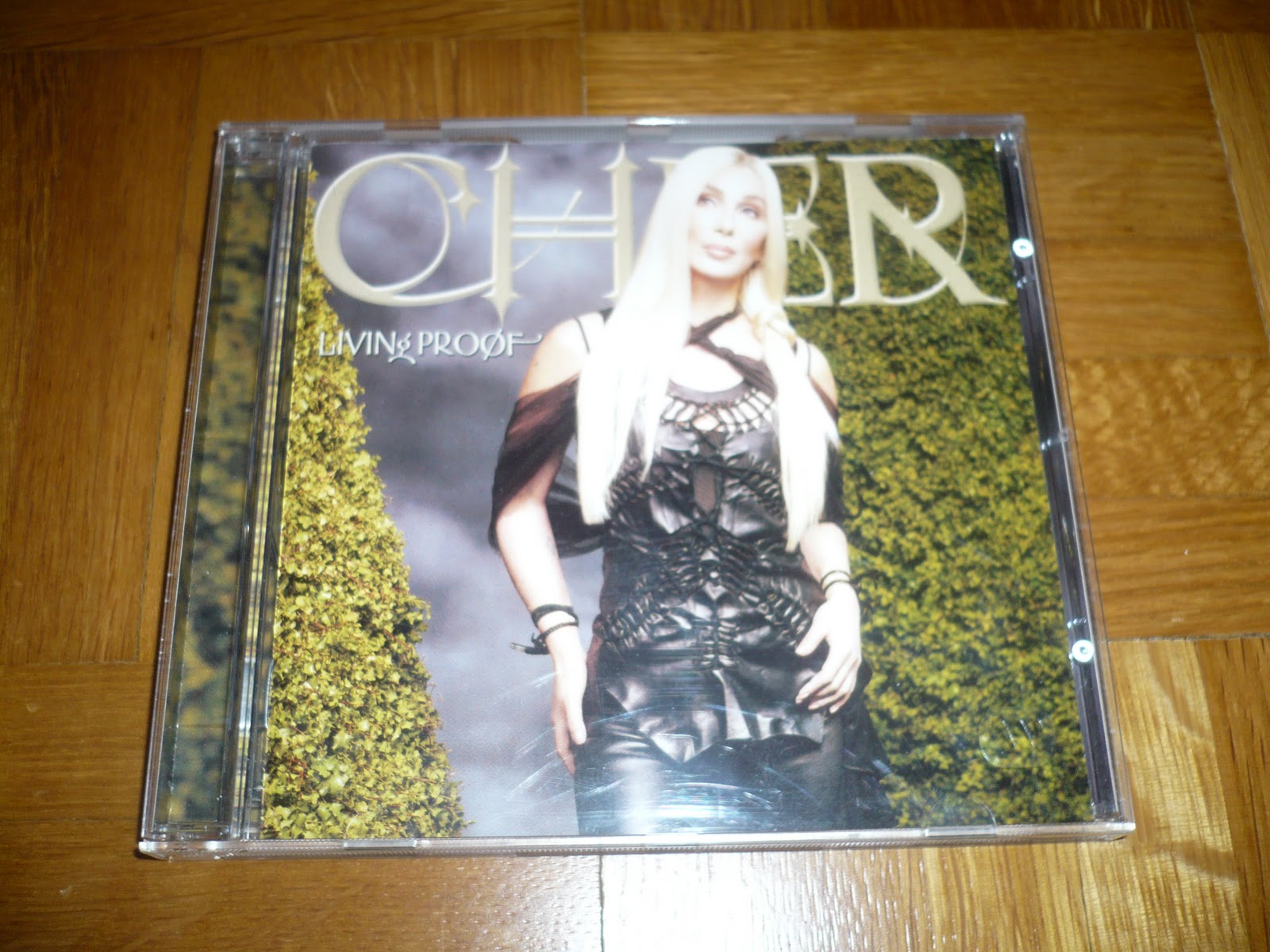 The Collector of Cher: My Cher CD Albums and Singles Part 10