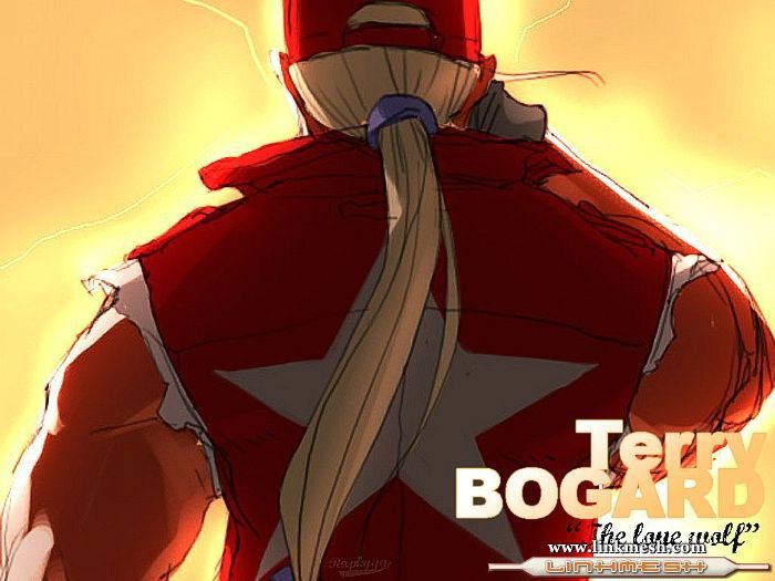 Terry Bogard | omelhordoskingoffighters