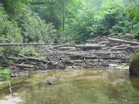 Gilroydad's Thoughts: Auglaize River Adventure