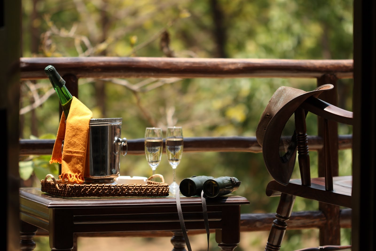 Just Another Ragbag: My Favourite Sit-outs...