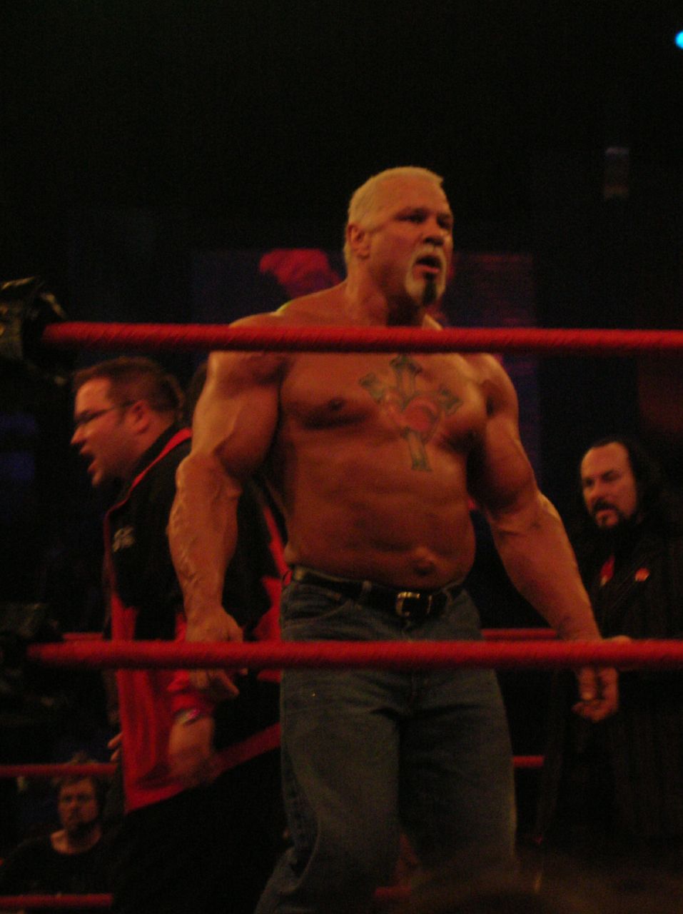 The Art of Muscle: Scott Steiner