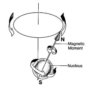 Radiology: MRI Basics