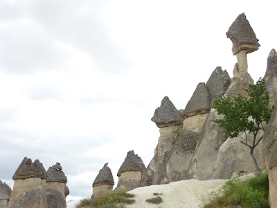 The Odyssey of Rusty and Kelsi: Tramping Across Turkey