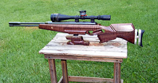 DaveG Custom Stocks: TX200 Field Target Stock