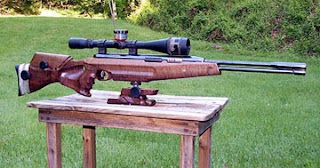 DaveG Custom Stocks: TX200 Field Target Stock