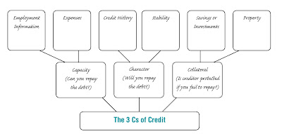 Consumer and Business Credit Data: 3 c's of Credit