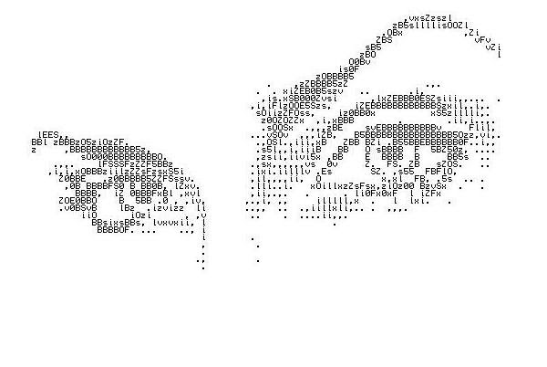 Computer e dintorni: ASCII Art
