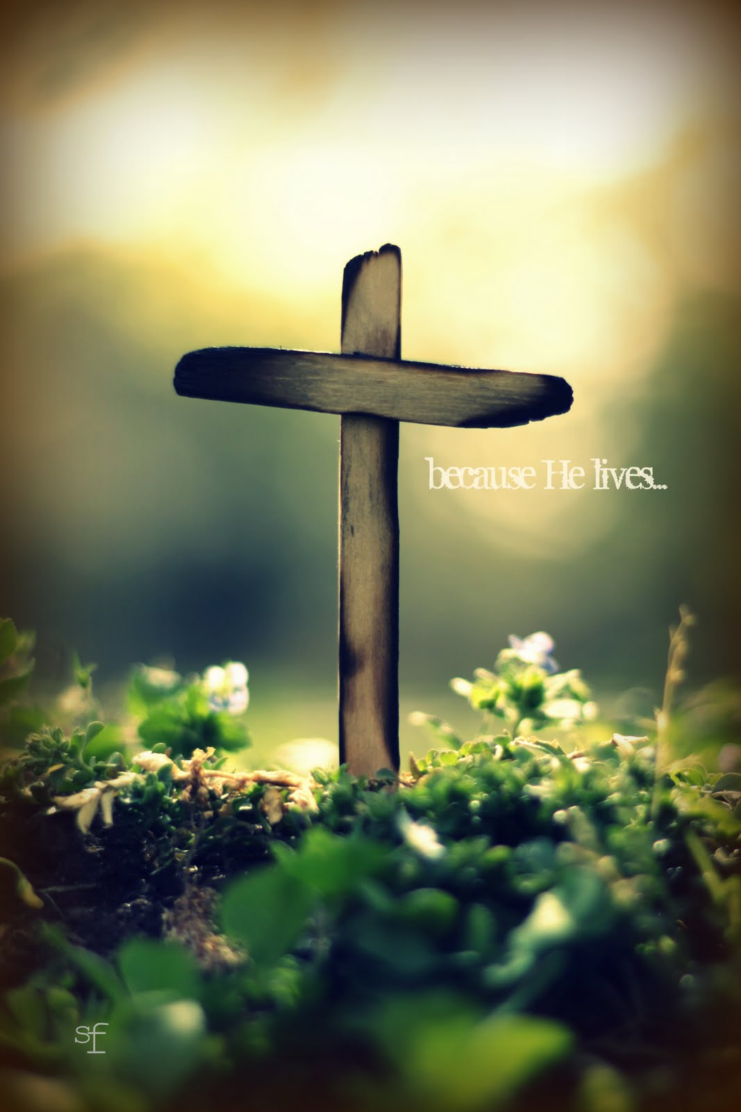 176 Best The Cross images | Old rugged cross, Cross pictures, The cross ...