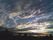 David M. Knittle Arts