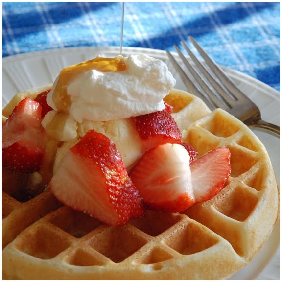 Whisk: a food blog: Best Waffles