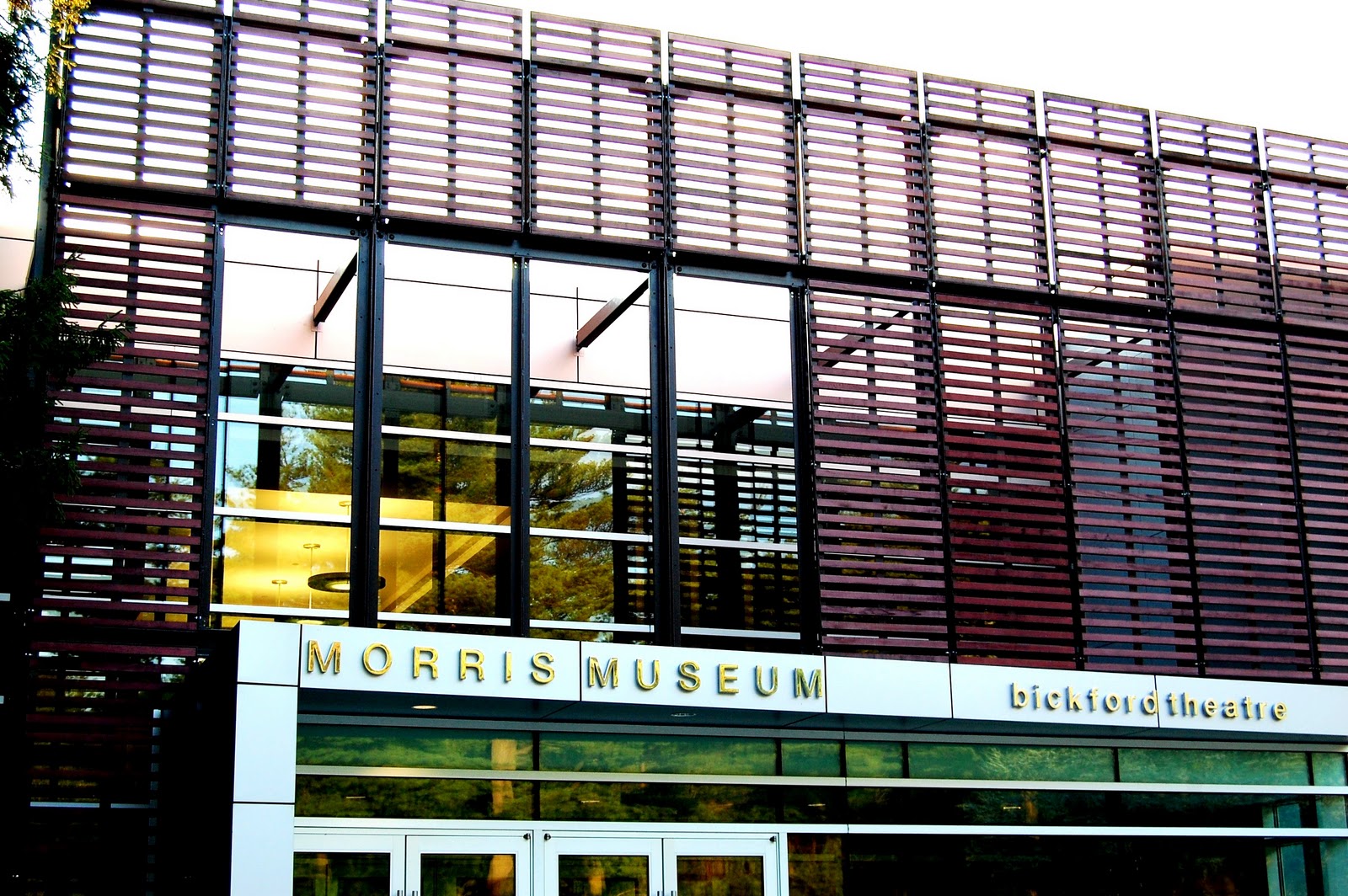 The Morris Museum