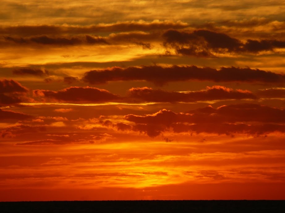 Life, or something like it.: February 2011