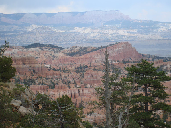 Pace Family Reunion: July 2, New Harmony, UT: Family Corner: