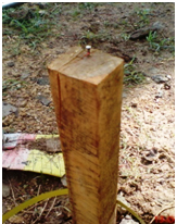 Civil Engineering in Bits: Basic Setting Out of a Building