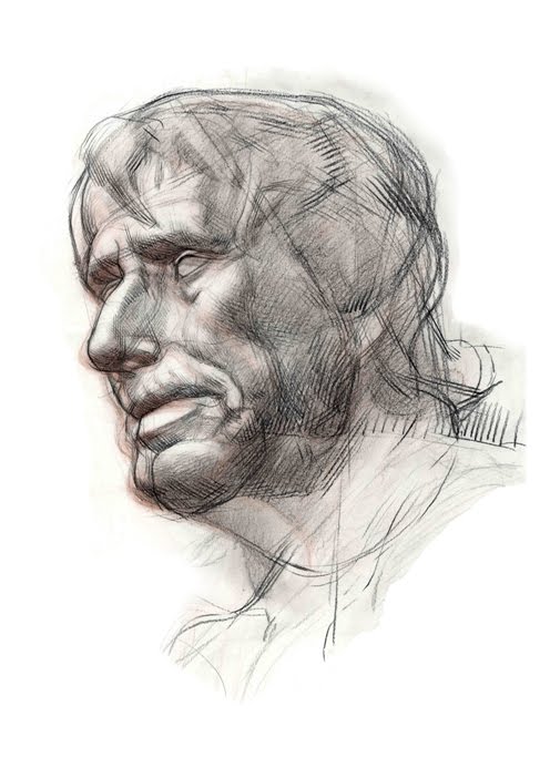 Kirsten Rosenkrants Grann Portfolio: Classical Drawing