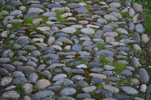 Our Amazing World: An Imperfect Path