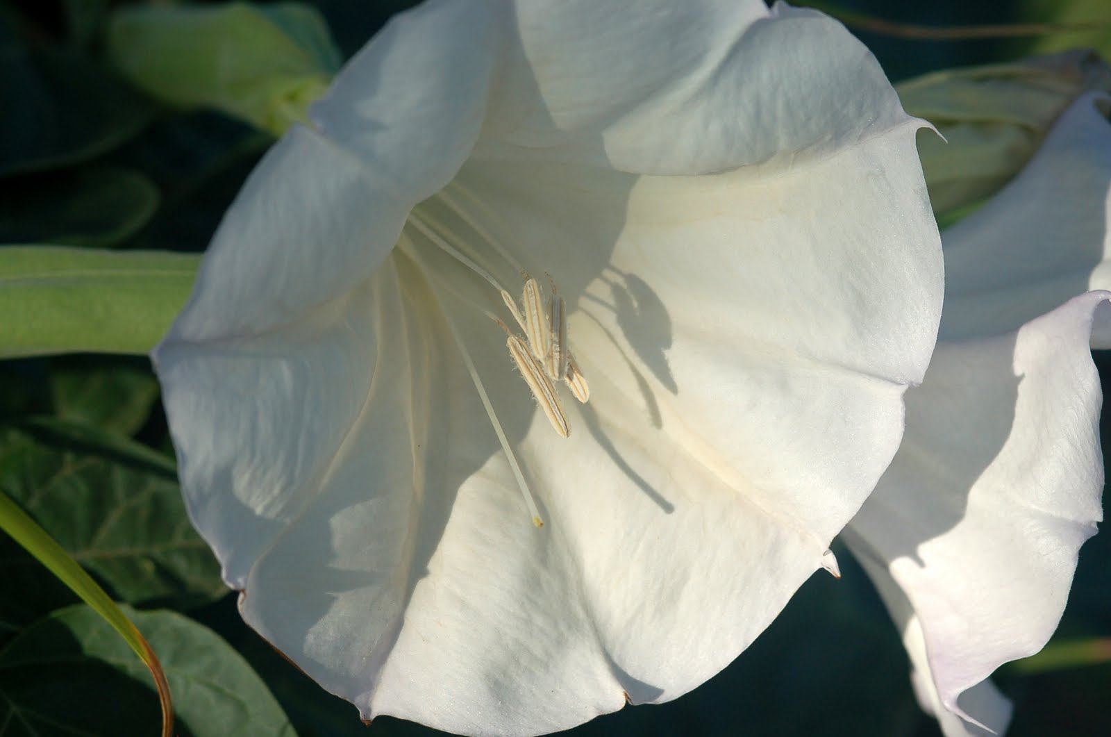 John Bethley Wiley Photography
