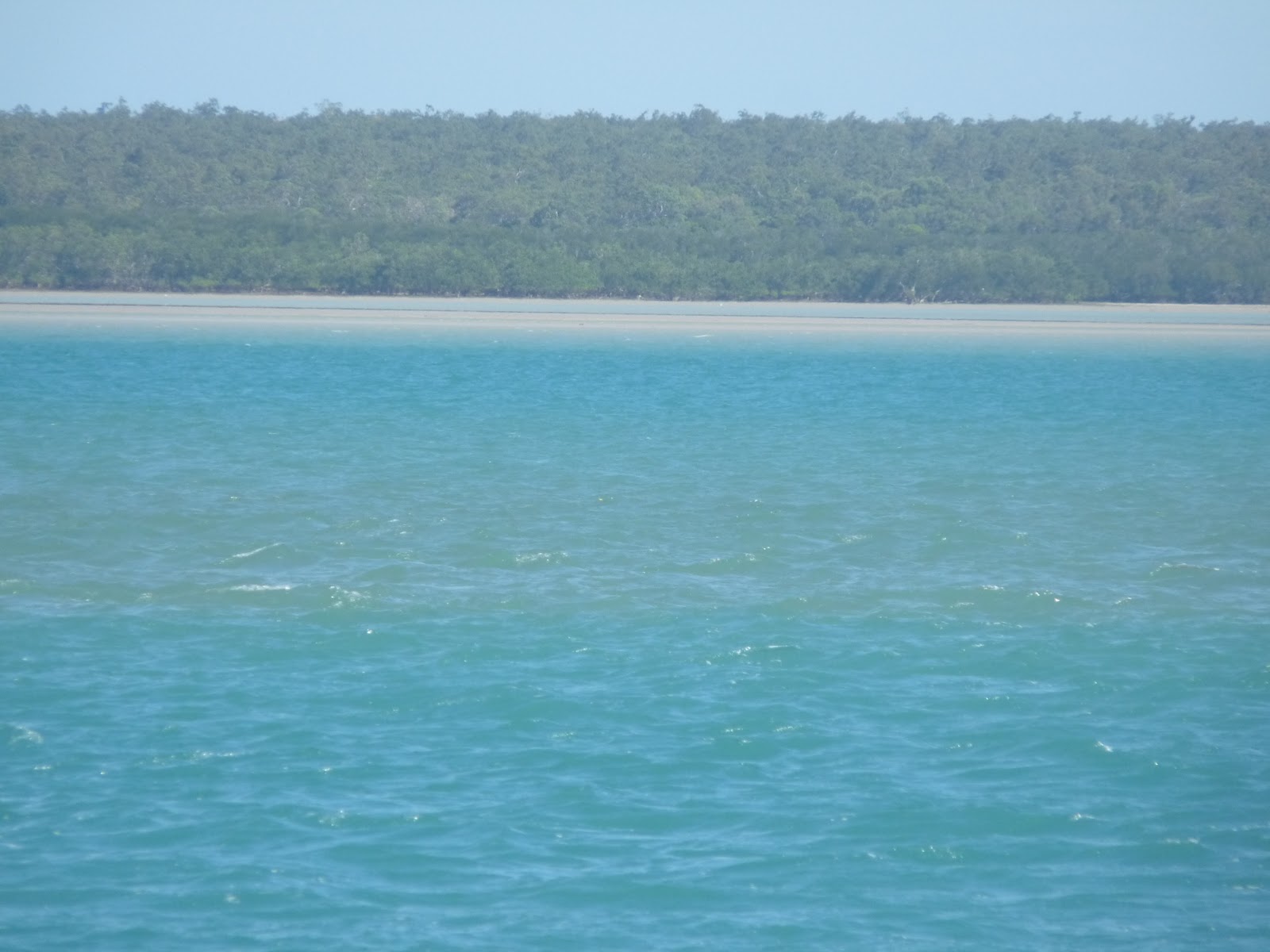 COGNAC SAILING: Inglis Isalnd to Howard Isalnd- delayed due to network ...