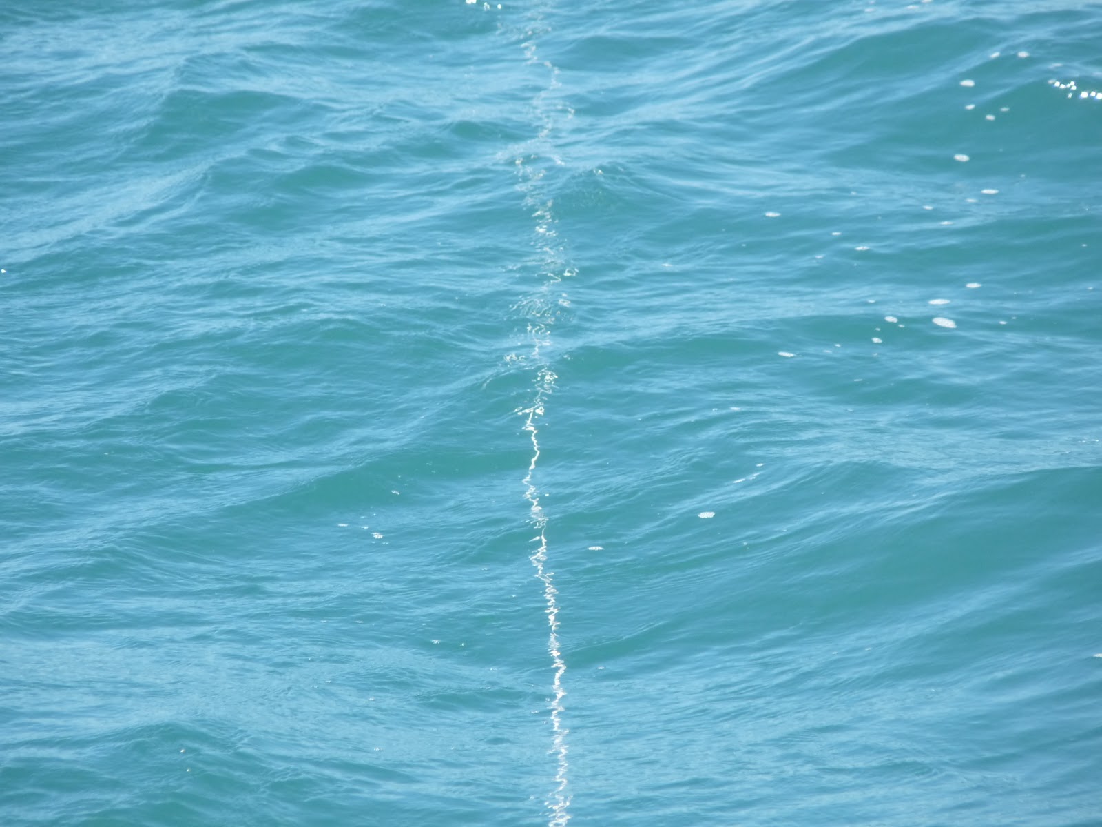 COGNAC SAILING: Inglis Isalnd to Howard Isalnd- delayed due to network ...