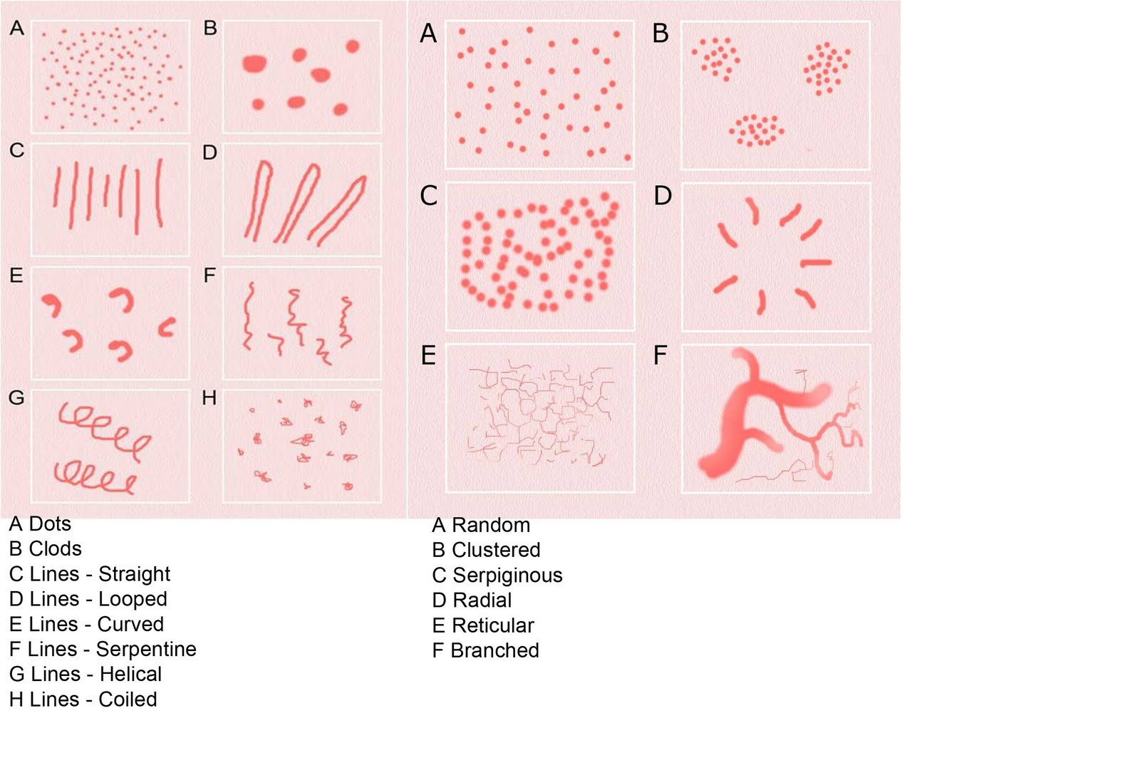 Chaos and Clues: CHAOS & CLUES - The Algorithm