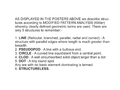 Chaos and Clues: CHAOS & CLUES - The Algorithm
