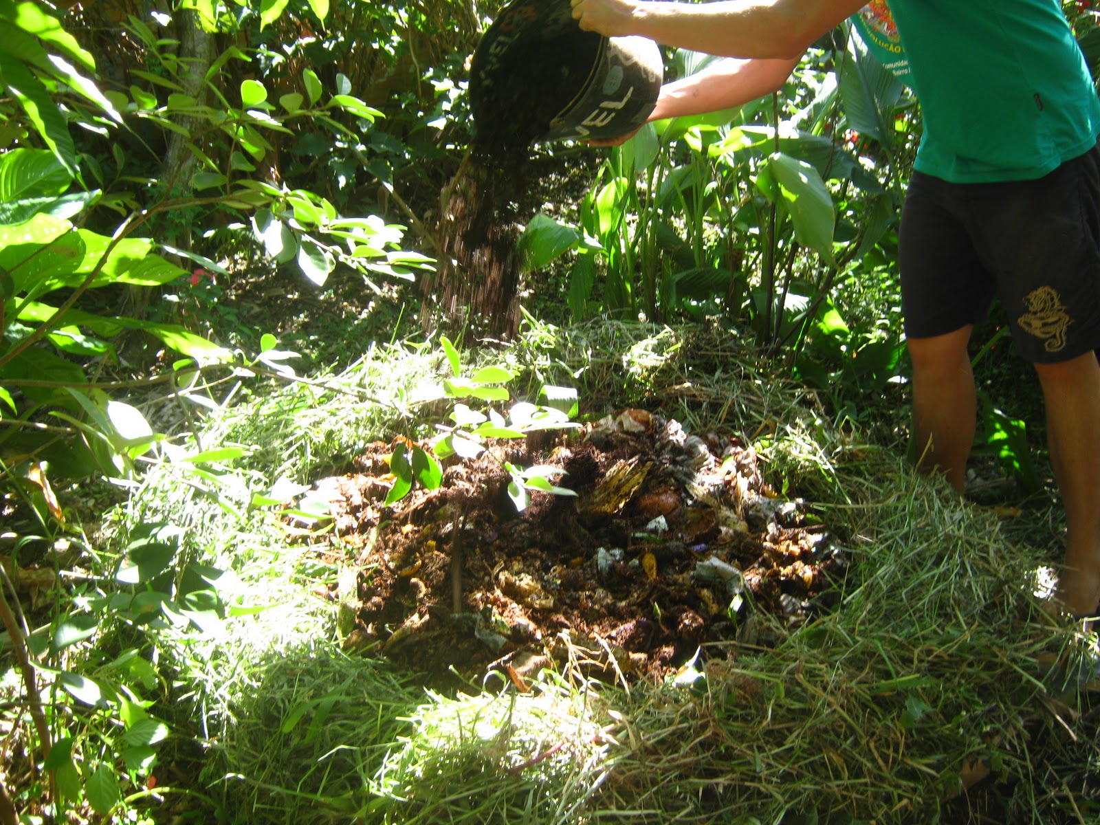 Banheiro Seco ecológico: Compostagem ou desidratação para higienização ...