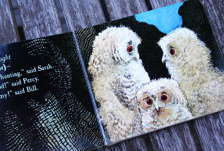 The Book Children: Owl Babies